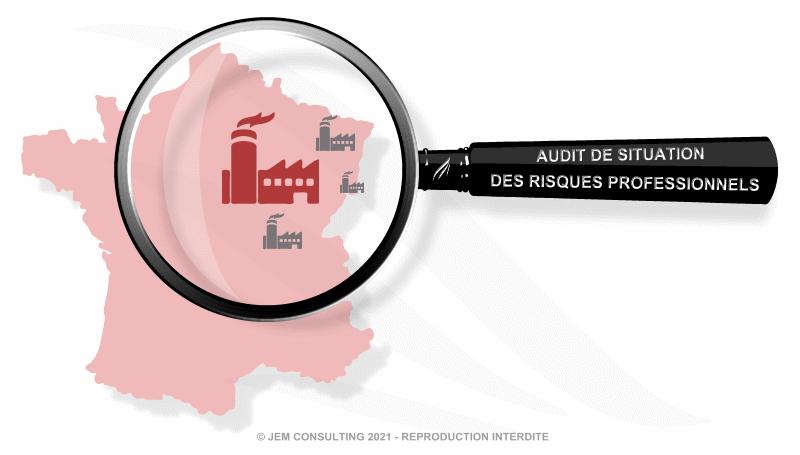 Audit et Gestion des risques professionnels