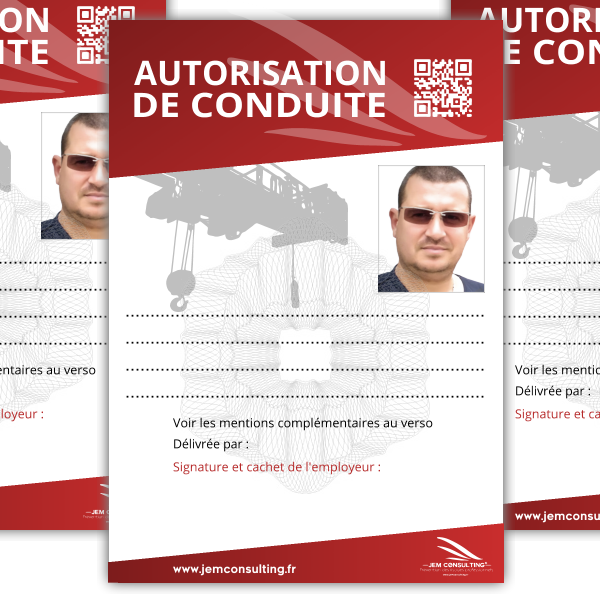 Utilisation en sécurité d’un Pont Roulant - Jem Consulting Alsace.