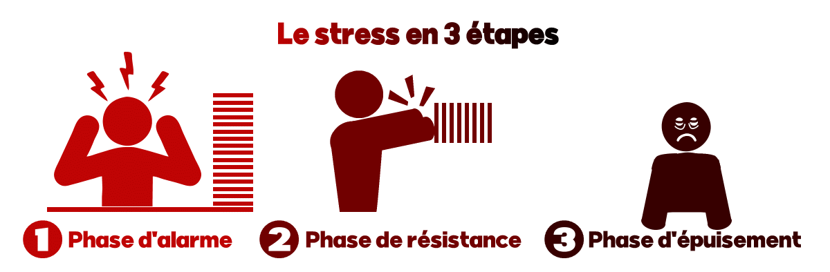 Mais c'est quoi le stress ? Par Jem Consultign en Alsace